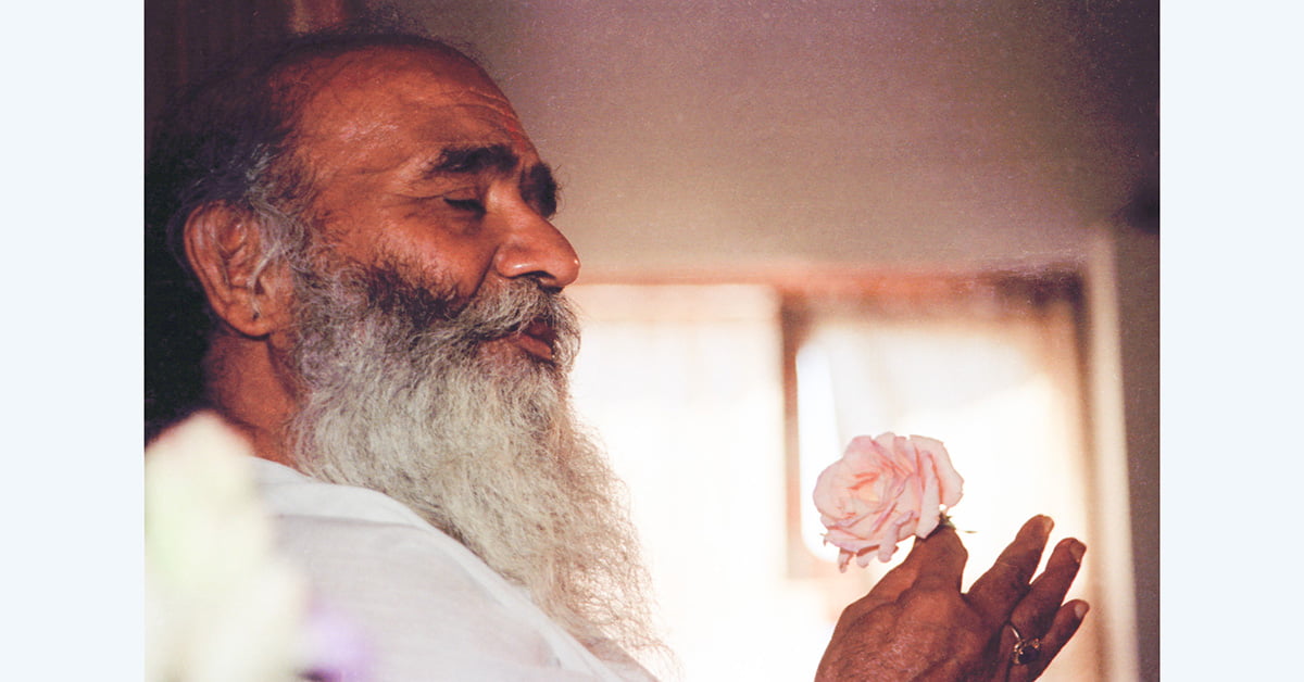 Pure Being Is Not Affected by Birth, Living, or Death; Pure Being Is ...